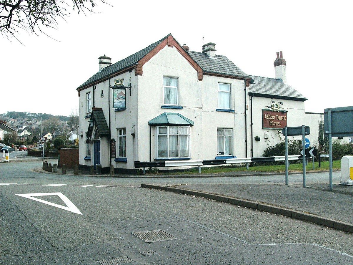 Web Design Moss Bank - Changing the World One Website at a Time ...